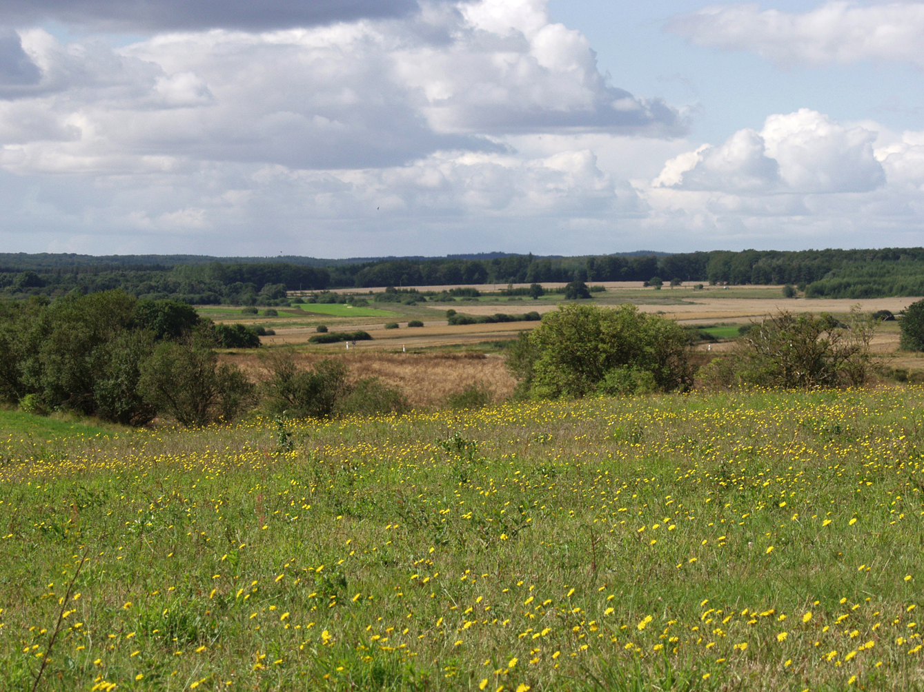 Natur og landskab